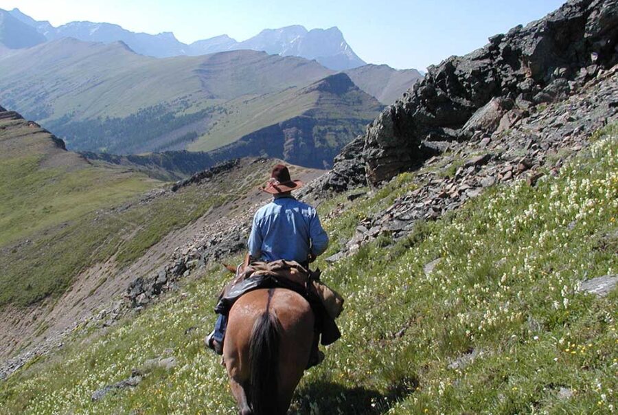 Horseback Riding Rocky Mountains - Anchor D Guiding & Outfitting Ltd.