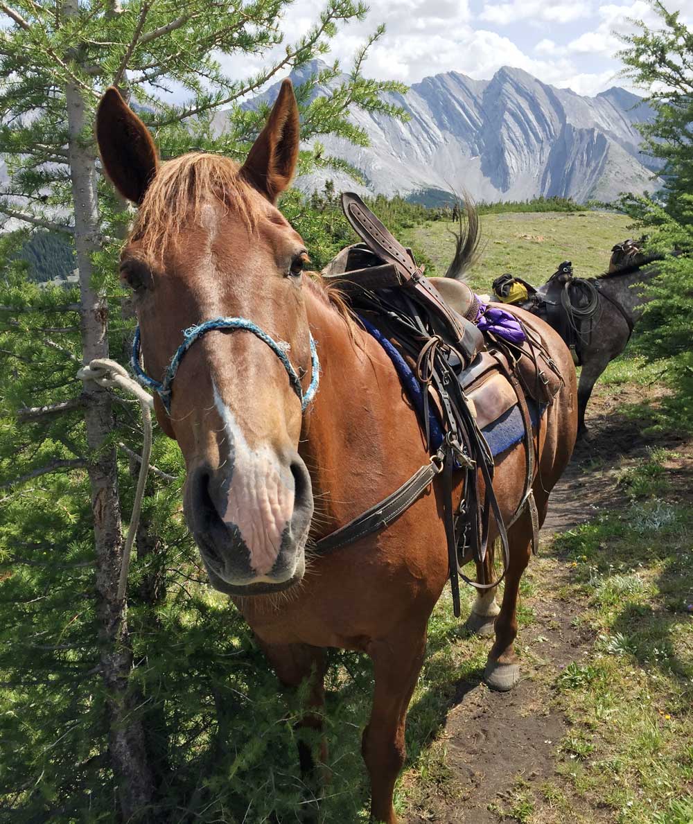 Registration Day Ride - Anchor D Guiding & Outfitting Ltd.